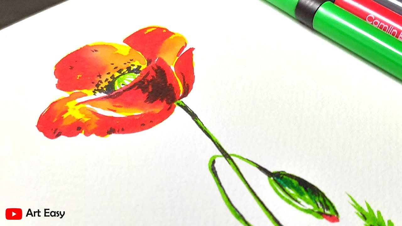 Beautiful Poppy Flower || Brush Pen Drawing With Water || Unique style ...