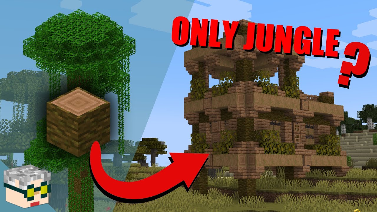 I Made A House With ONLY Jungle Wood ?! - Building Challenges ...