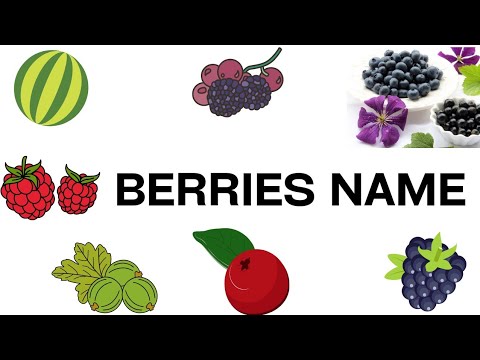 Berries Name | Berries Name In English With Pictures | Kids English ...