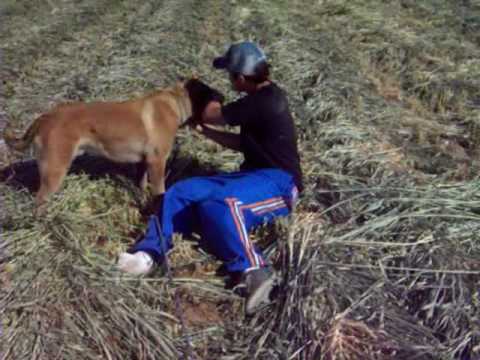 Rastreo de persona extraviada. - YouTube