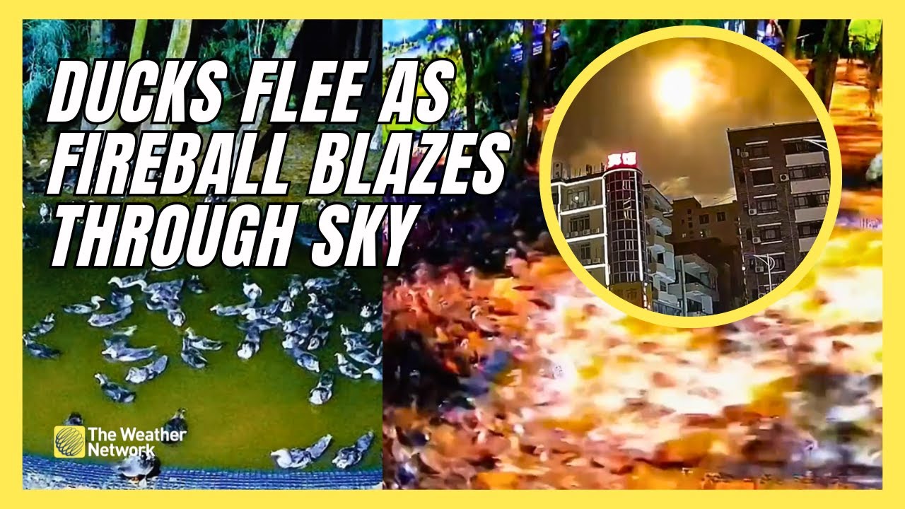 Ducks Sent Into a Panic as Fireball Streaks Across The Sky - YouTube