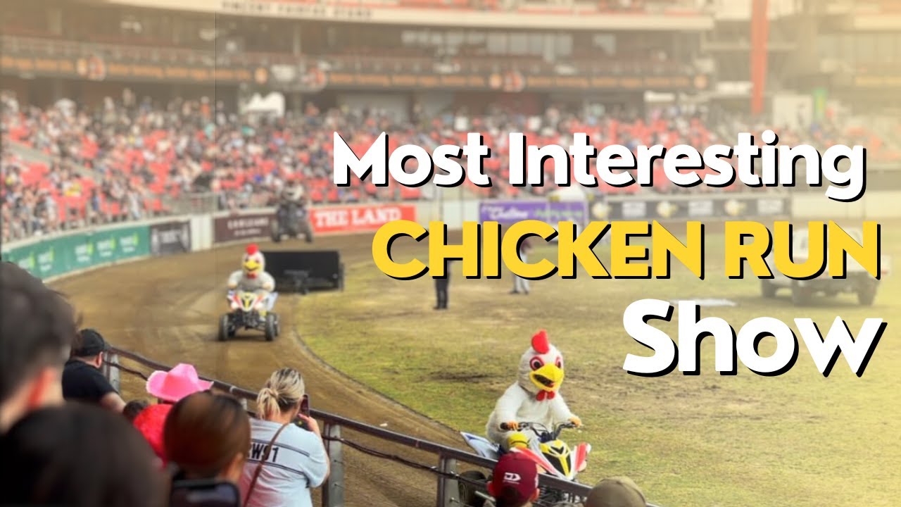 | Most interesting Racing Show | Chicken🐓 Run | 4K HDR - YouTube