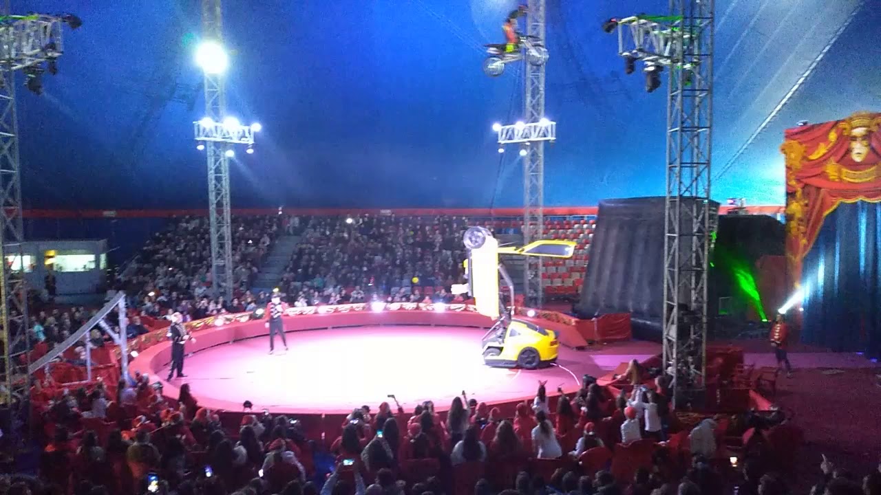 CIRCO SOLEDAD CARDINALI - YouTube