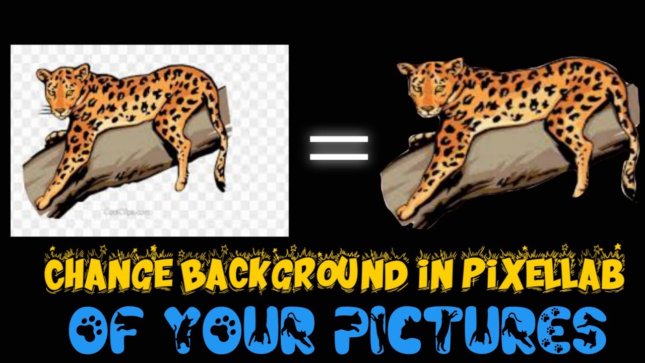 How To Remove Background In PixeLlab Easy Way TARIFIXO YouTube How To Remove Background In PixeLlab Easy Way TARIFIXO YouTube