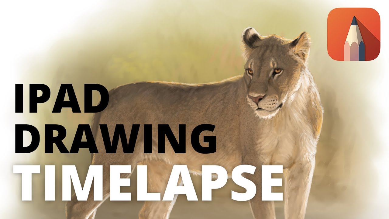 iPad Drawing Timelapse - YouTube