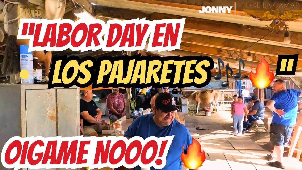 “Vlog 2 | Labor Day en los Pajaretes 🥛🎶 | Música en Vivo, Respeto y ...