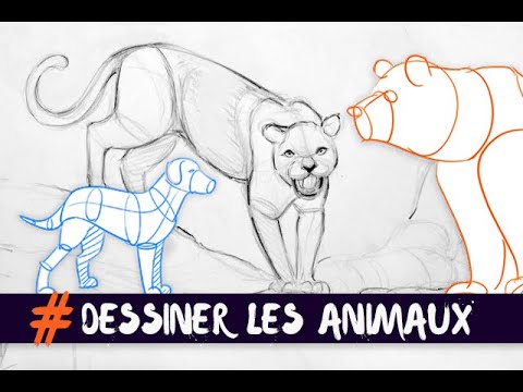 DESSINER LES ANIMAUX : TECHNIQUE DE BASE