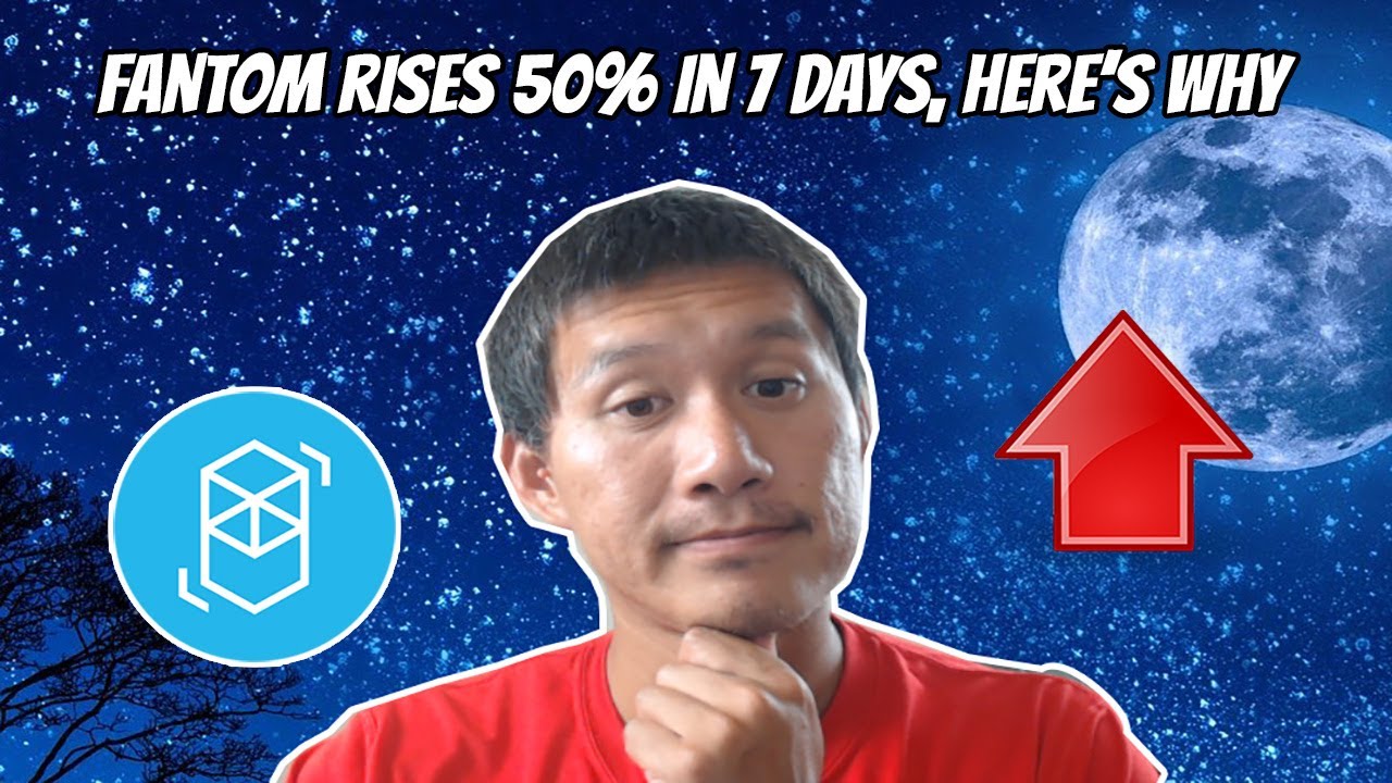 Fantom rises 50% in a week. Here's why. Is it good for the future ...