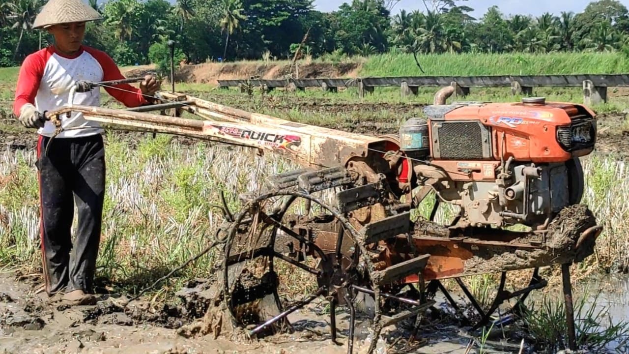 Kerja Santai !! Traktor Sawah Quick G3000 Kubota Garap Lahan ...