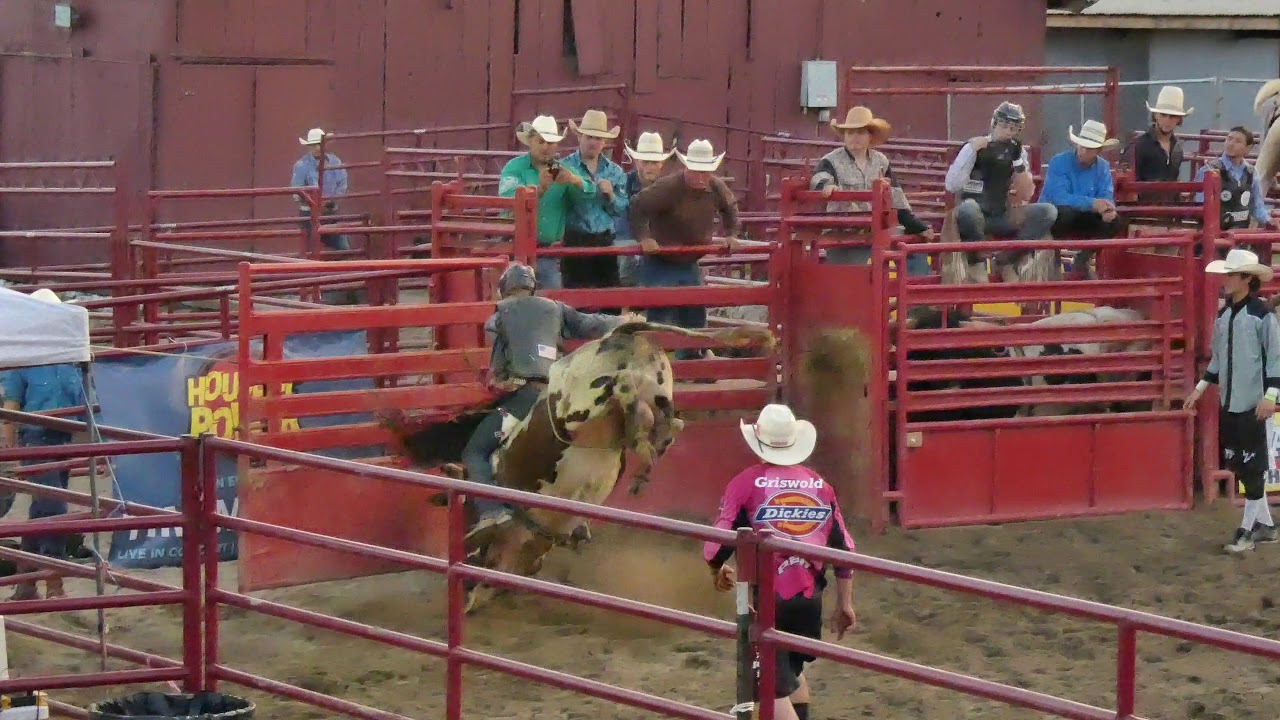 Bull Riding at Orange County Fair Speedway Middletown NY 7-5-2019 - YouTube