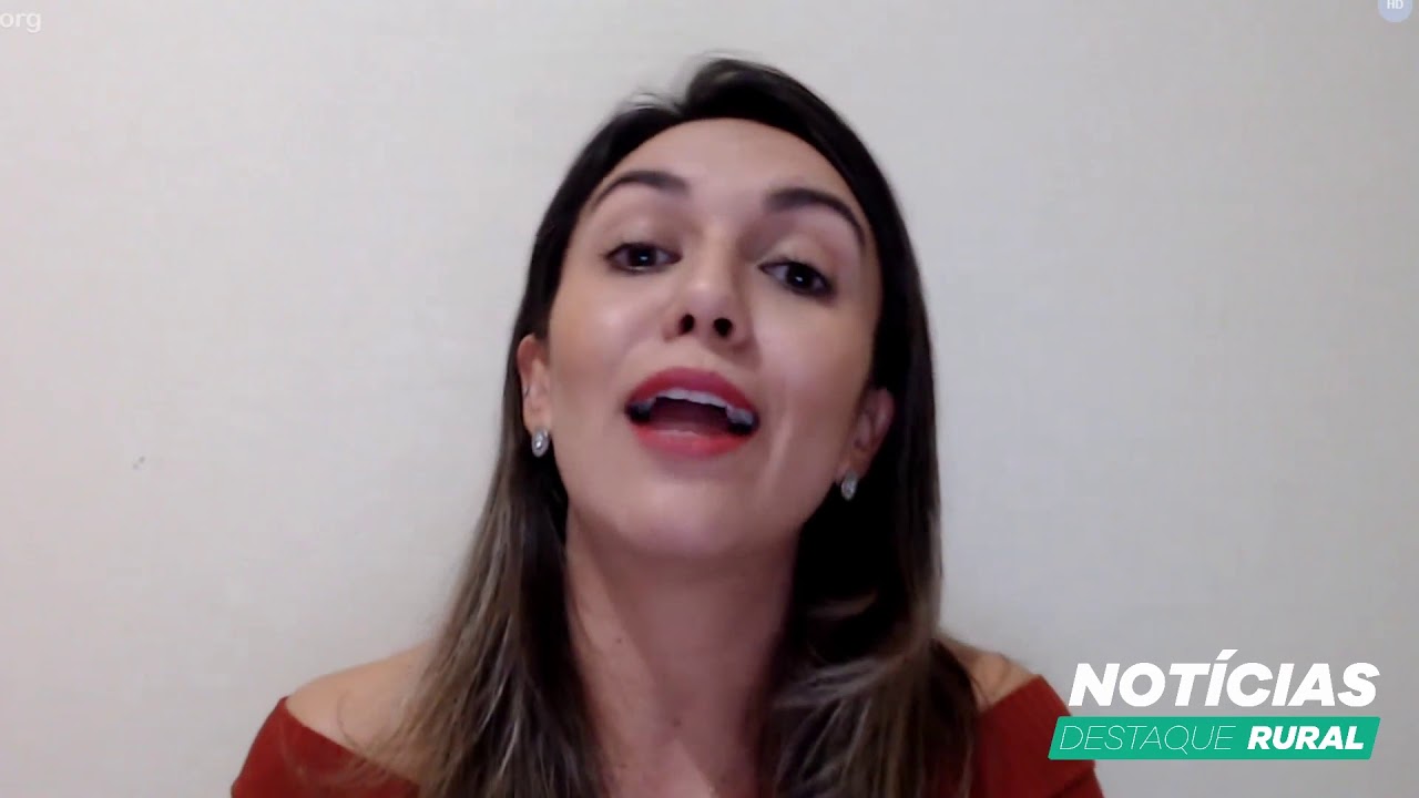 A jornalista Fernanda Custódio comenta os índices do milho safrinha no ...