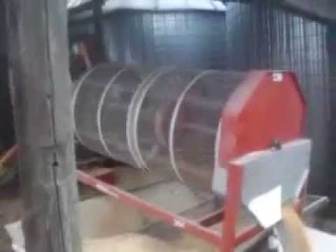 Cleaning corn 2013 - YouTube