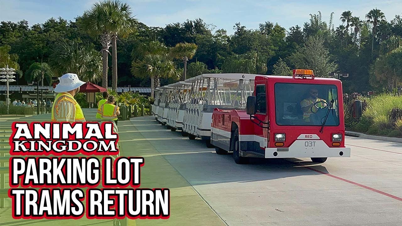 Parking Lot Trams Return to Disney's Animal Kingdom - YouTube