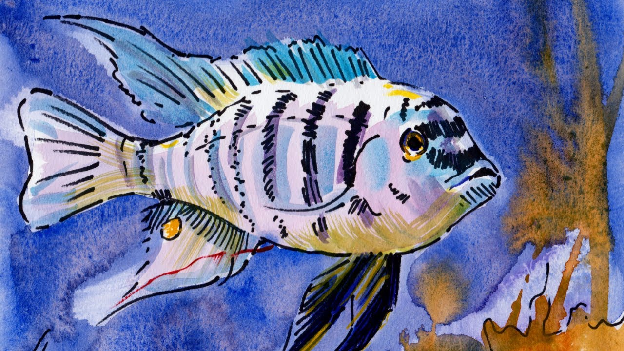 How to paint a fish using watercolor - YouTube