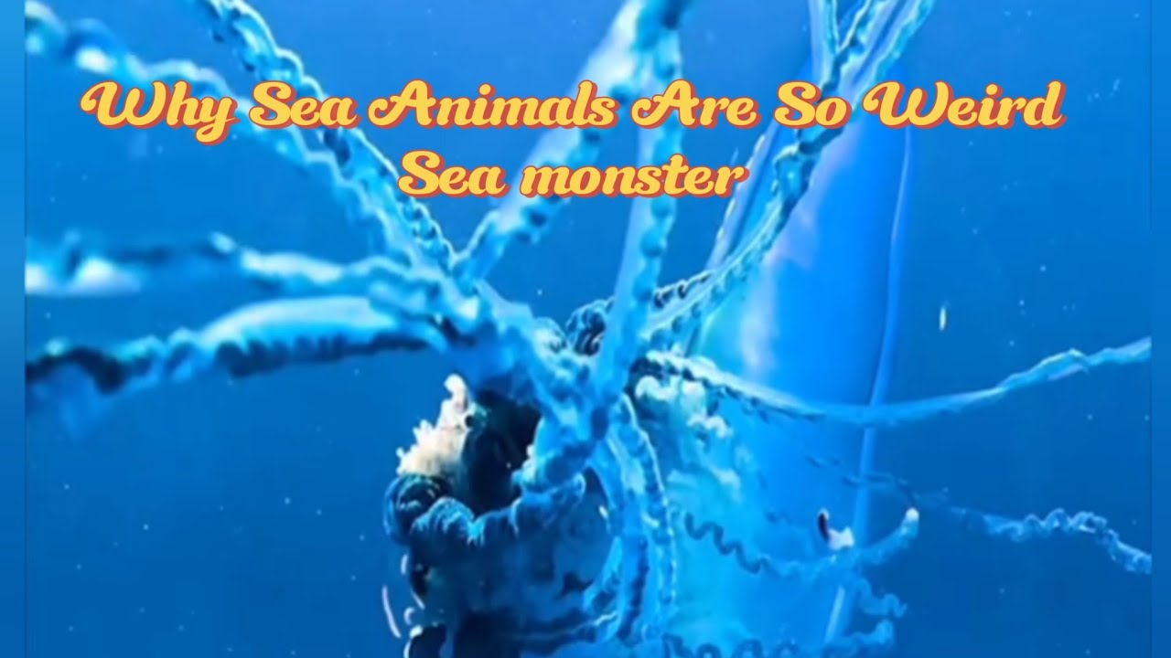 From Land to Sea The Incredible Evolution of Aquatic Animals - YouTube