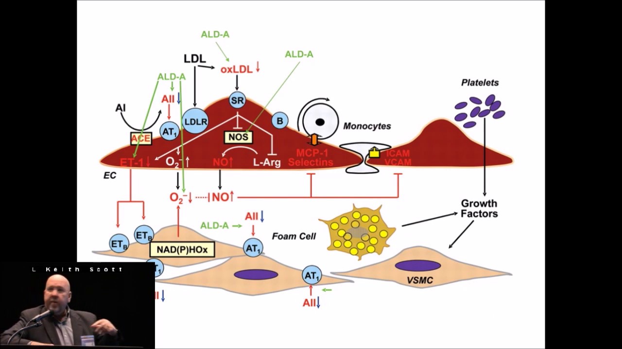 Anticoagulation & Bleeding in the ECMO Patient - YouTube