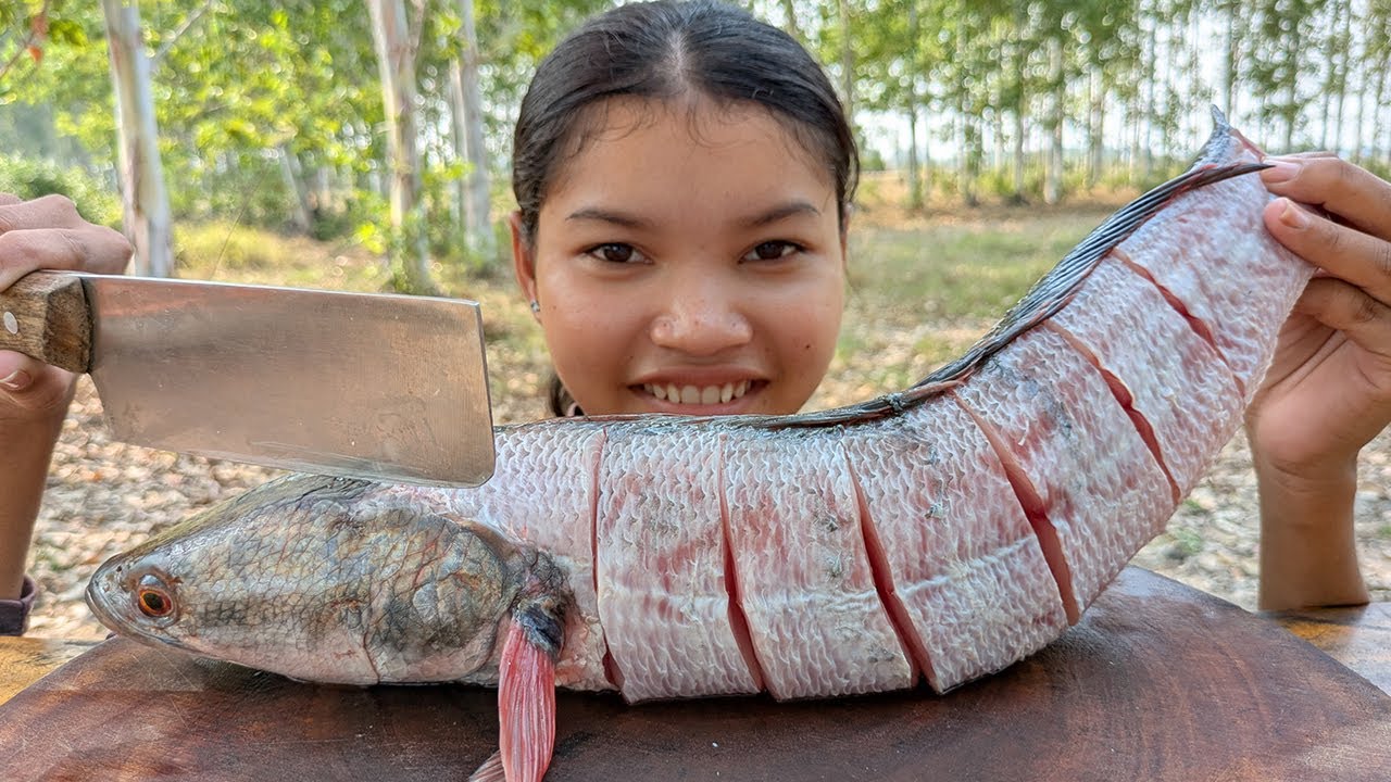 Quick Braised Fish with Ginger | Delicious Fish Fry Recipe | Big Fish ...