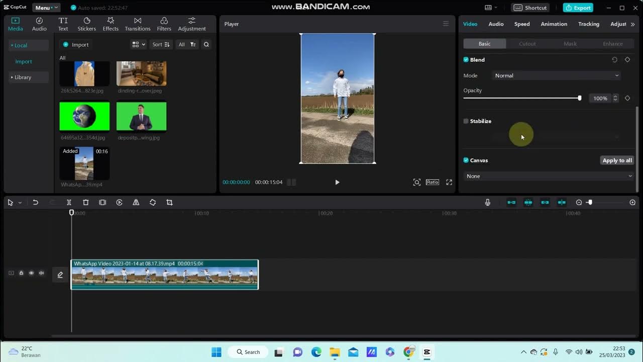 How You Can Easily Add Border to Your Videos Using CapCut Video Editor ...