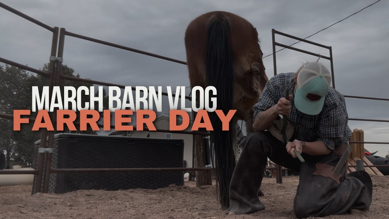 MARCH BARN VLOG // Farrier Day - YouTube