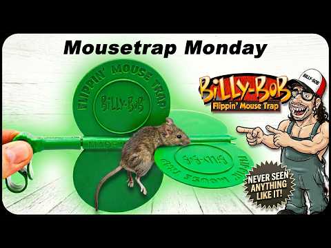 Billy-Bob's Flippin' Mouse Trap - New Made-In-America - Catching Mice In the Barn -Mousetrap Monday.