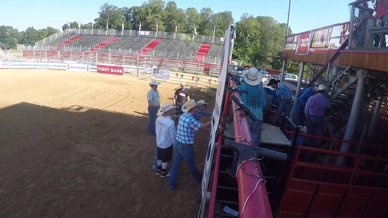 DAVIS RODEO 659 - YouTube
