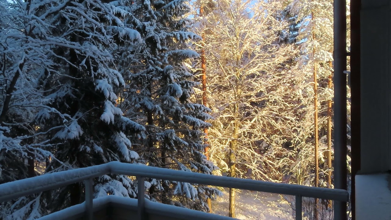 Snow has Arrived! - YouTube