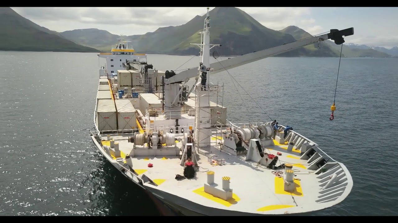 Dunedin Star, Summer Bay, AK - YouTube