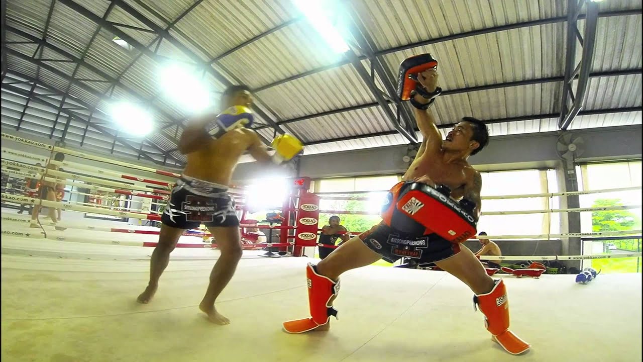Yokkao Muay Thai Weapon: Kem Sitsongpeenong Flying Elbow SMASH ...