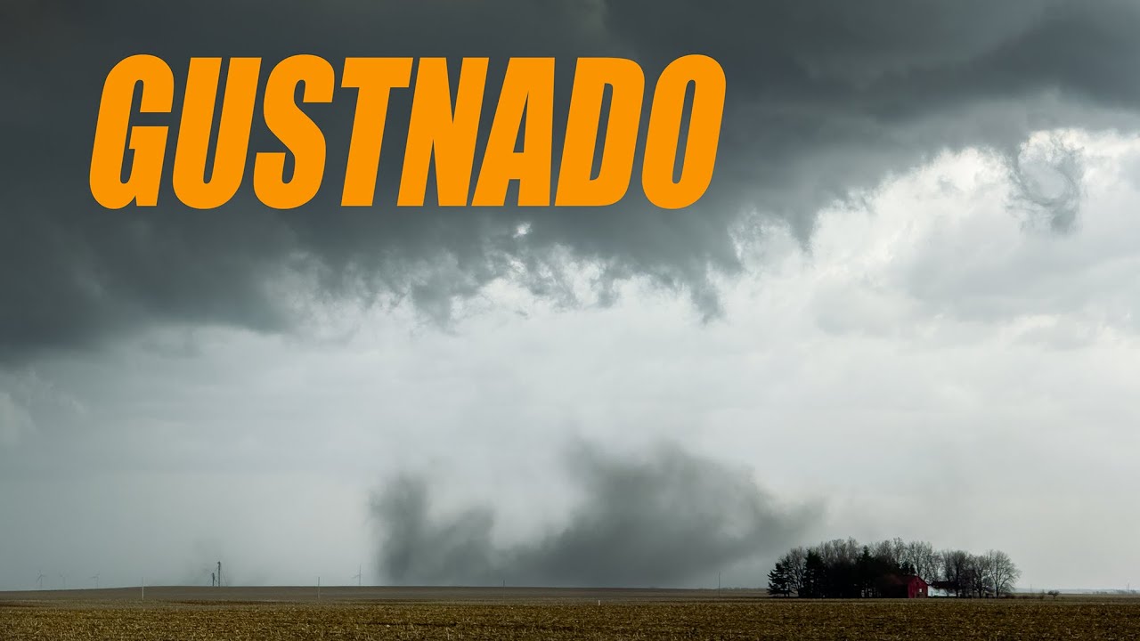 Tornado or Gustnado? Illinois 3/19/2025 - YouTube