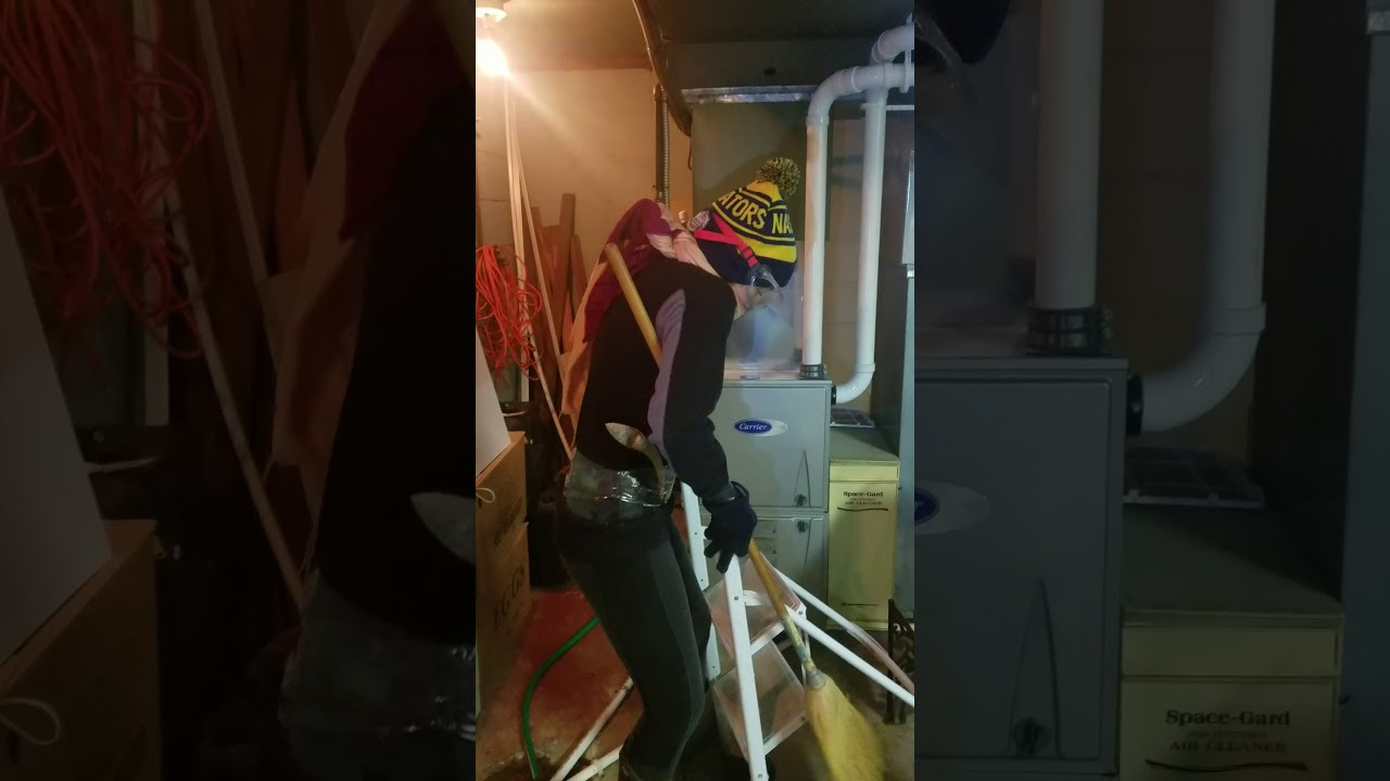 Squirrel in the basement 😂😂 🐿 - YouTube