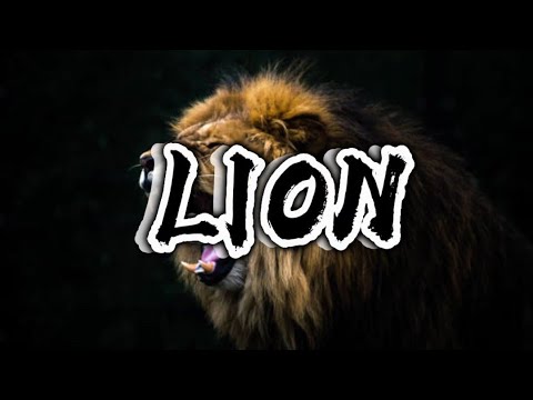 Lion - Elevation Worship (Lyrics) - YouTube