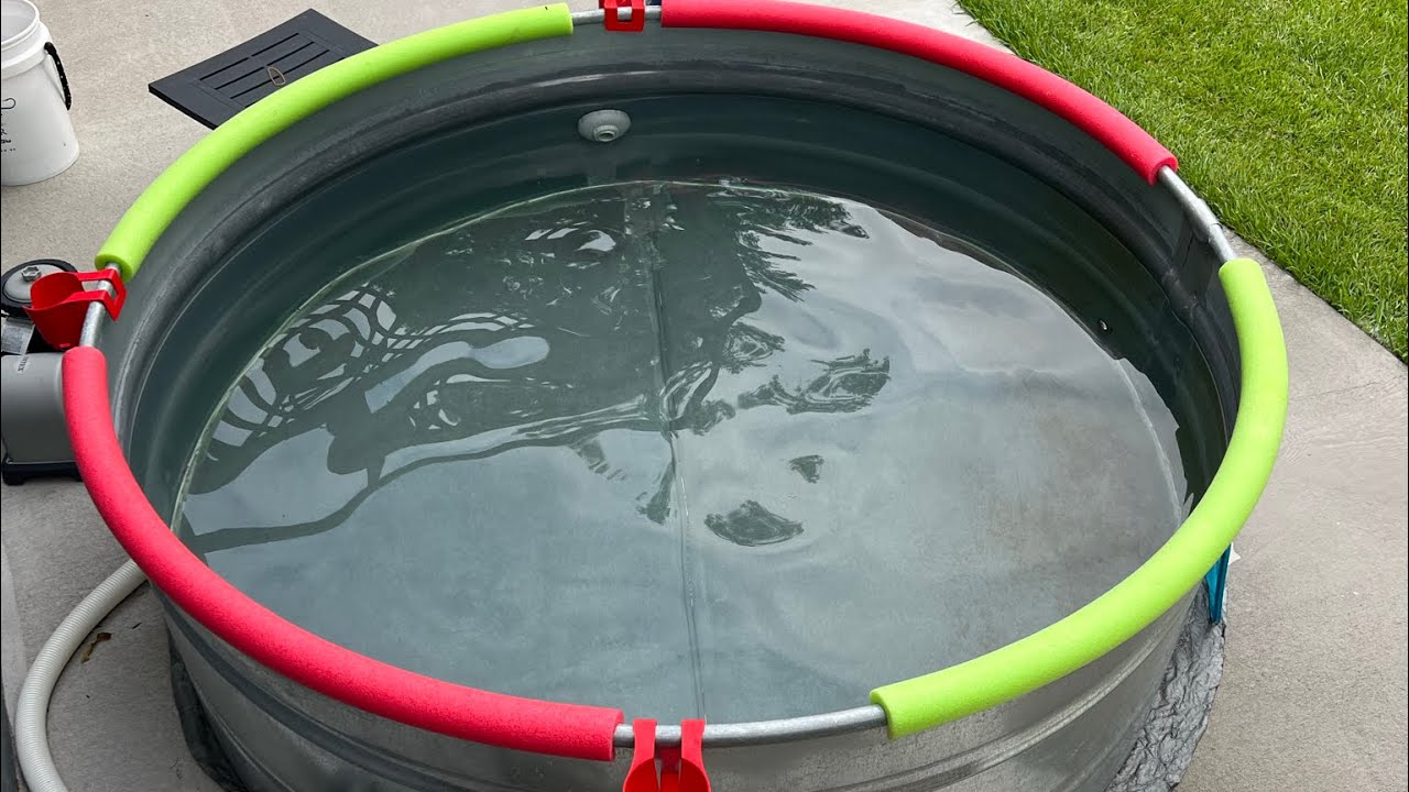 We Found Rust Started in our Stock Tank Pool - YouTube