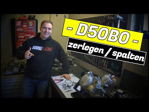 D50B0 Motor zerlegen/spalten - Goose Racing
