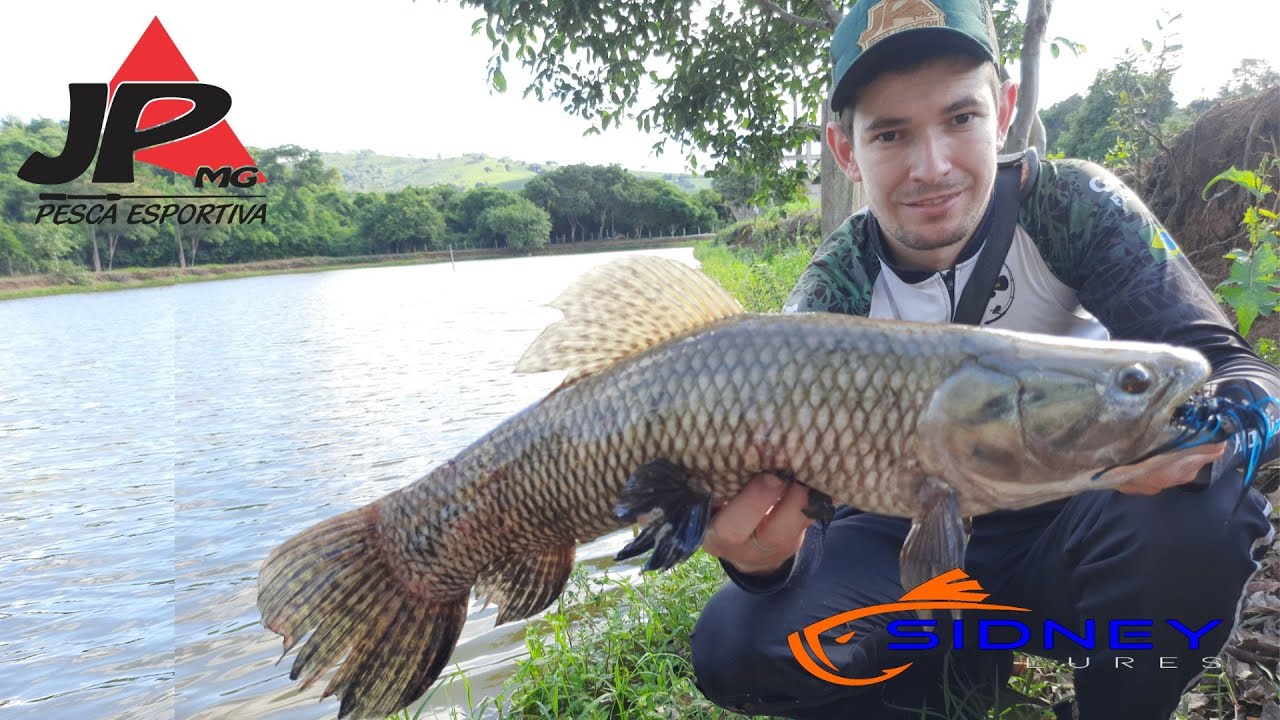 TRAIRÃO PRÉ-HISTORICO NO CHATTERBAIT BY SIDNEY LURES. PESQUEIRO ...