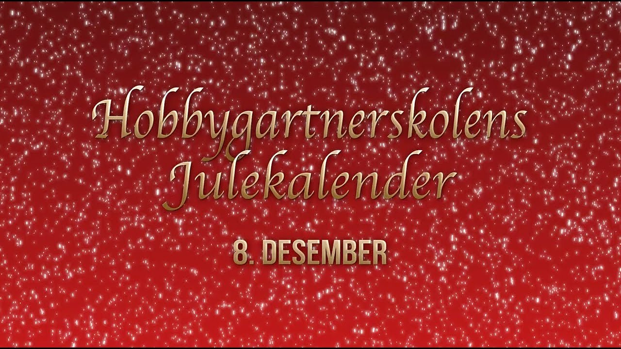 Julekalender, 8. desember: Hvordan stelle og pynte med svibler - YouTube