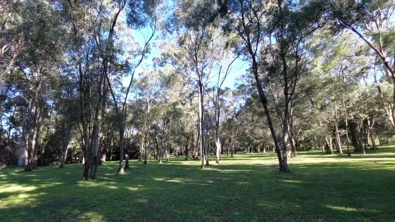 Capalaba Park, QLD, Australia - YouTube