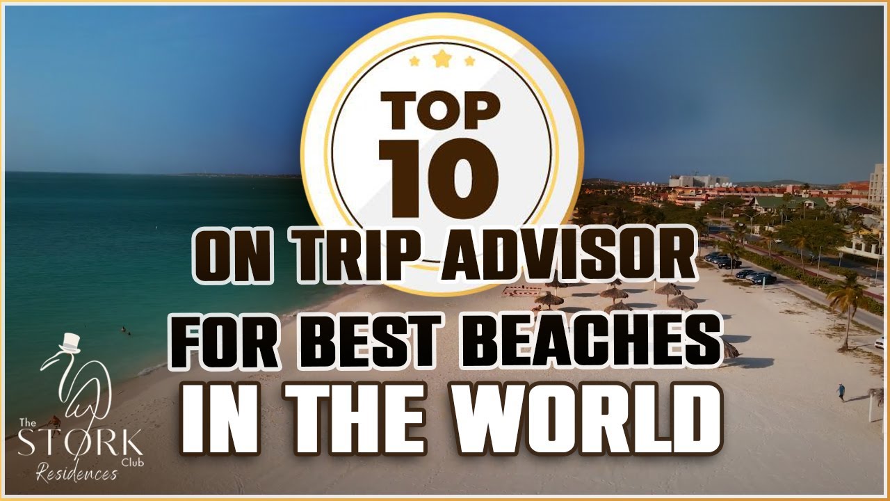 Discover The Stork Club: Luxurious Living at Eagle Beach, Aruba - YouTube