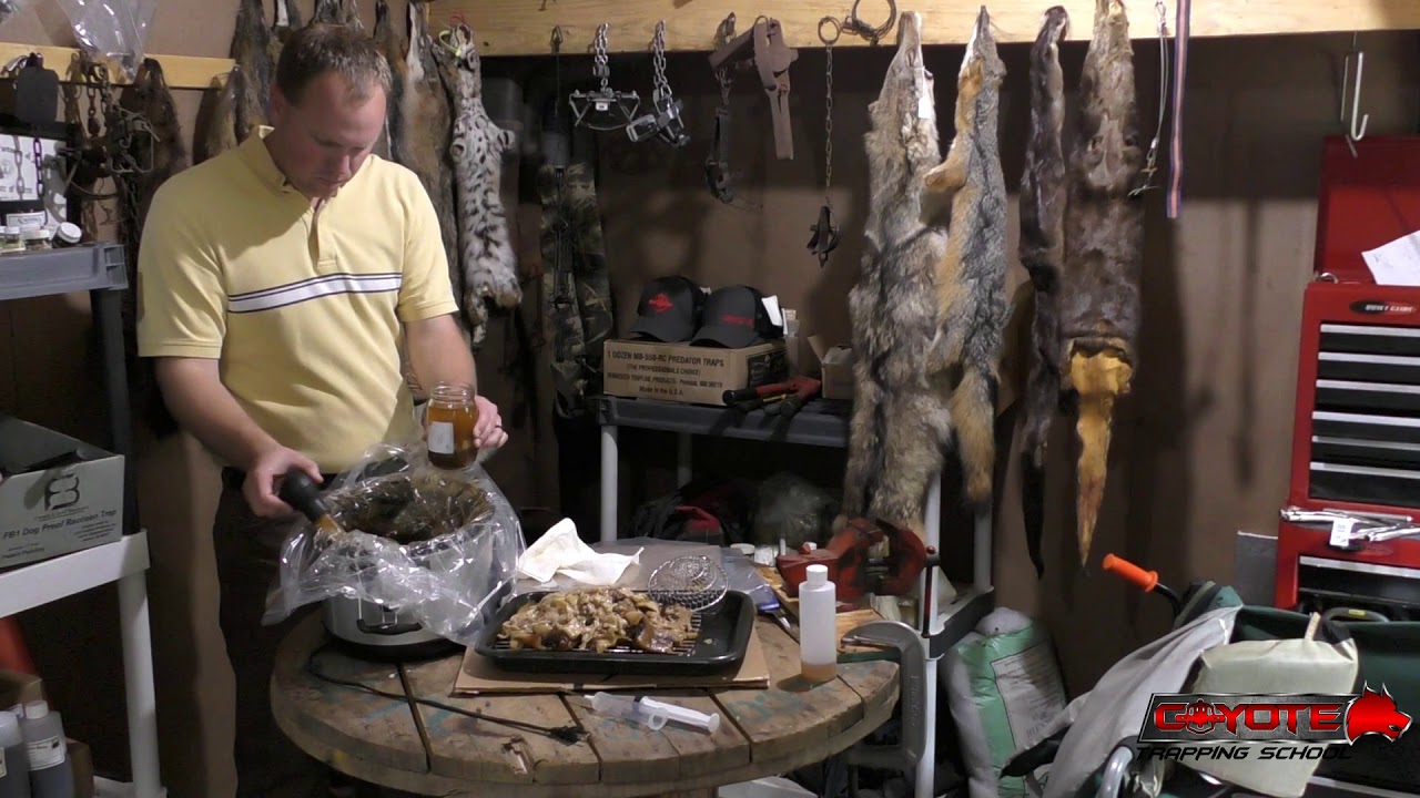 Making beaver tail oil - almost done! - YouTube