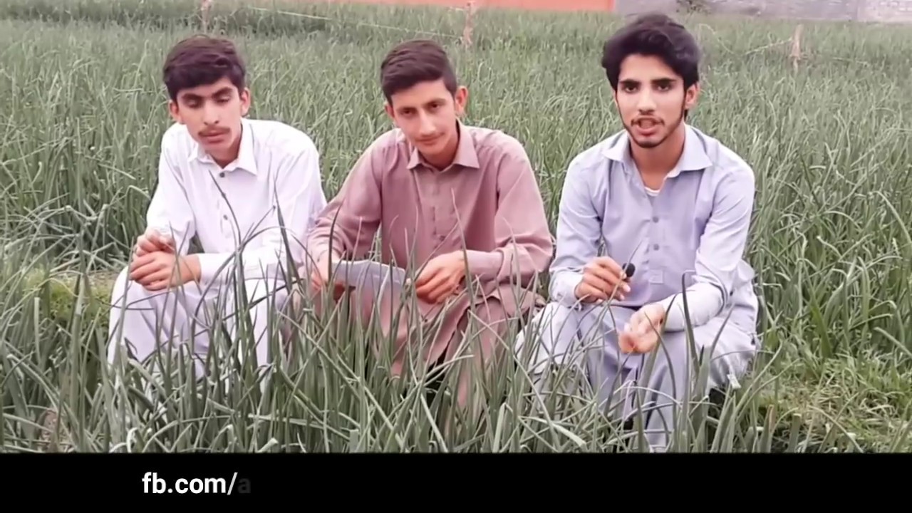 Imad ullah imad pashto new poetry with Adil Arman da wisal mazigar - YouTube