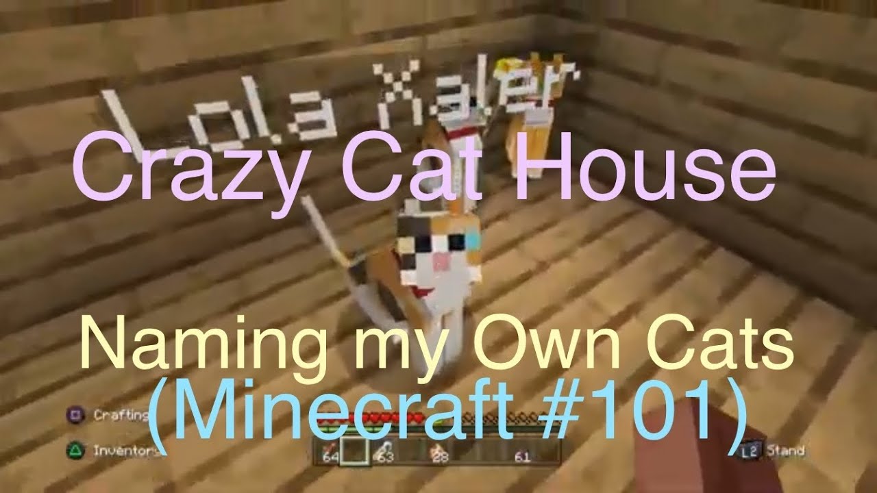 Crazy Cat House - Naming my Own Cats (Minecraft #101) - YouTube