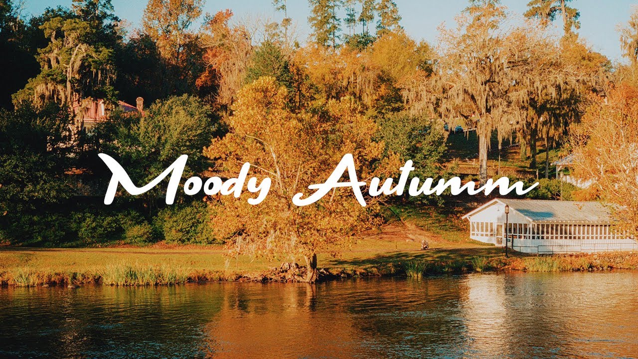 a playlist for a moody autumn - YouTube