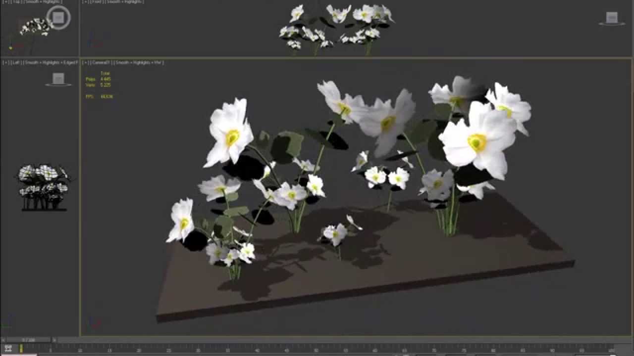 Flowers 3dsmax - YouTube