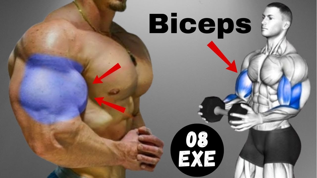 GET BIG Biceps FAST with These Exercises | Ramon Dino Arms Workout ...