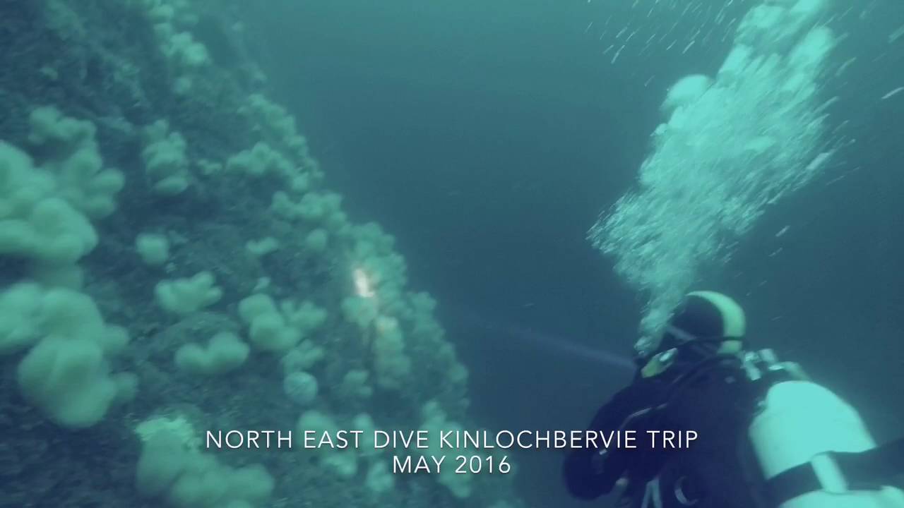 Whaleback Rock North East Dive May 16 - YouTube