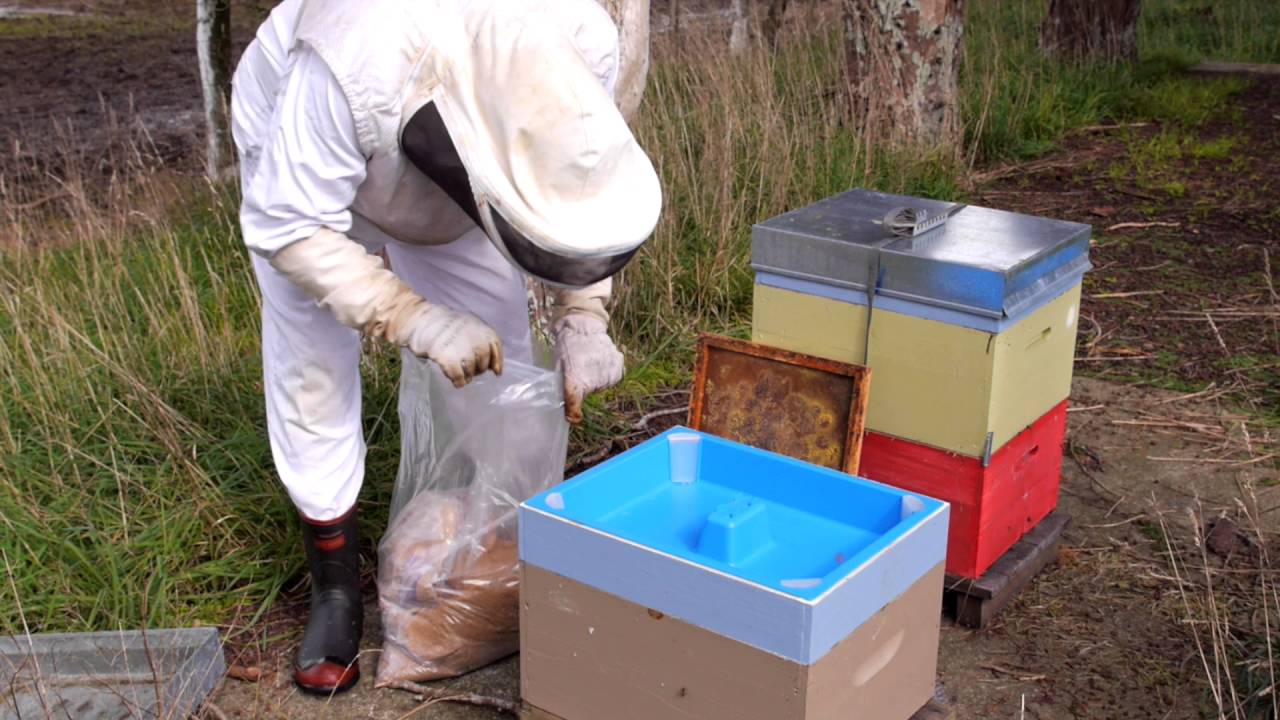 Beekeeping Basics with Bruce Clow - Ceracell Top Feeder. - YouTube