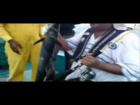 Ciuman mesra dari abg mus setelah melayan tenggiri