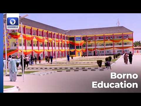 Gov. Zulum Commissions Schools, Flyover Bridge In Maiduguri