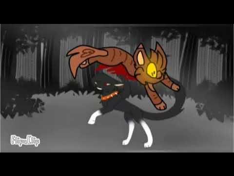 🍁Gone🍁///Warrior cats deaths map part 15///collab with @zaira_day461 ! - YouTube
