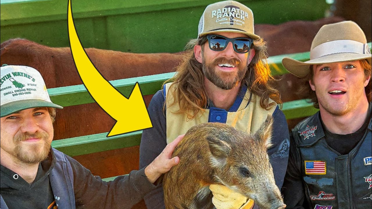 We Caught A Wild Pig While Bucking Bulls! Rodeo Time 469 - YouTube