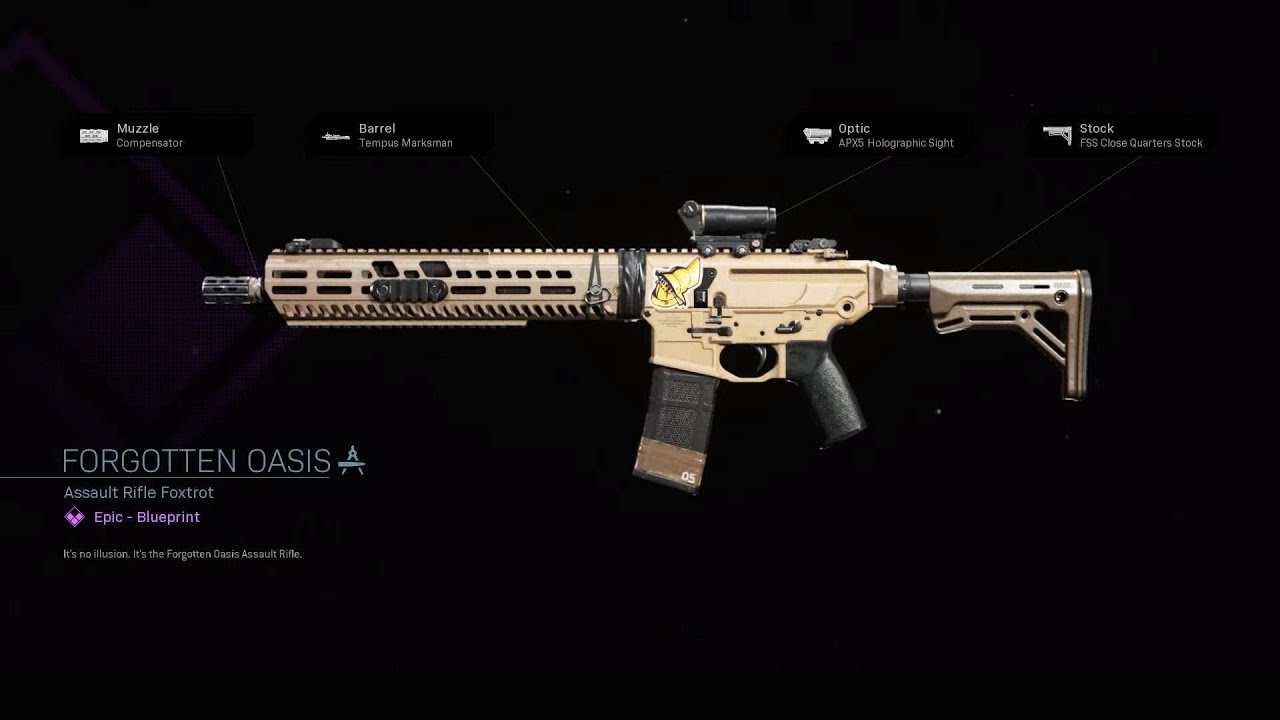 MW 2019 : M13 (SIG Sauer MCX Virtus) Forgotten Oasis blueprint # ...